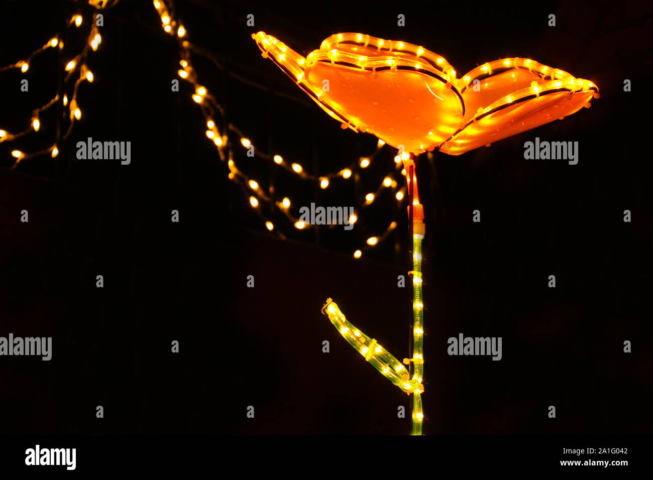 Flower of light at night. Neon lighting. Photo background. Ornamental ...