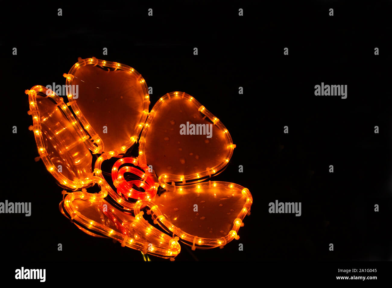 Flower of light at night. Neon lighting. Photo background. Ornamental ...