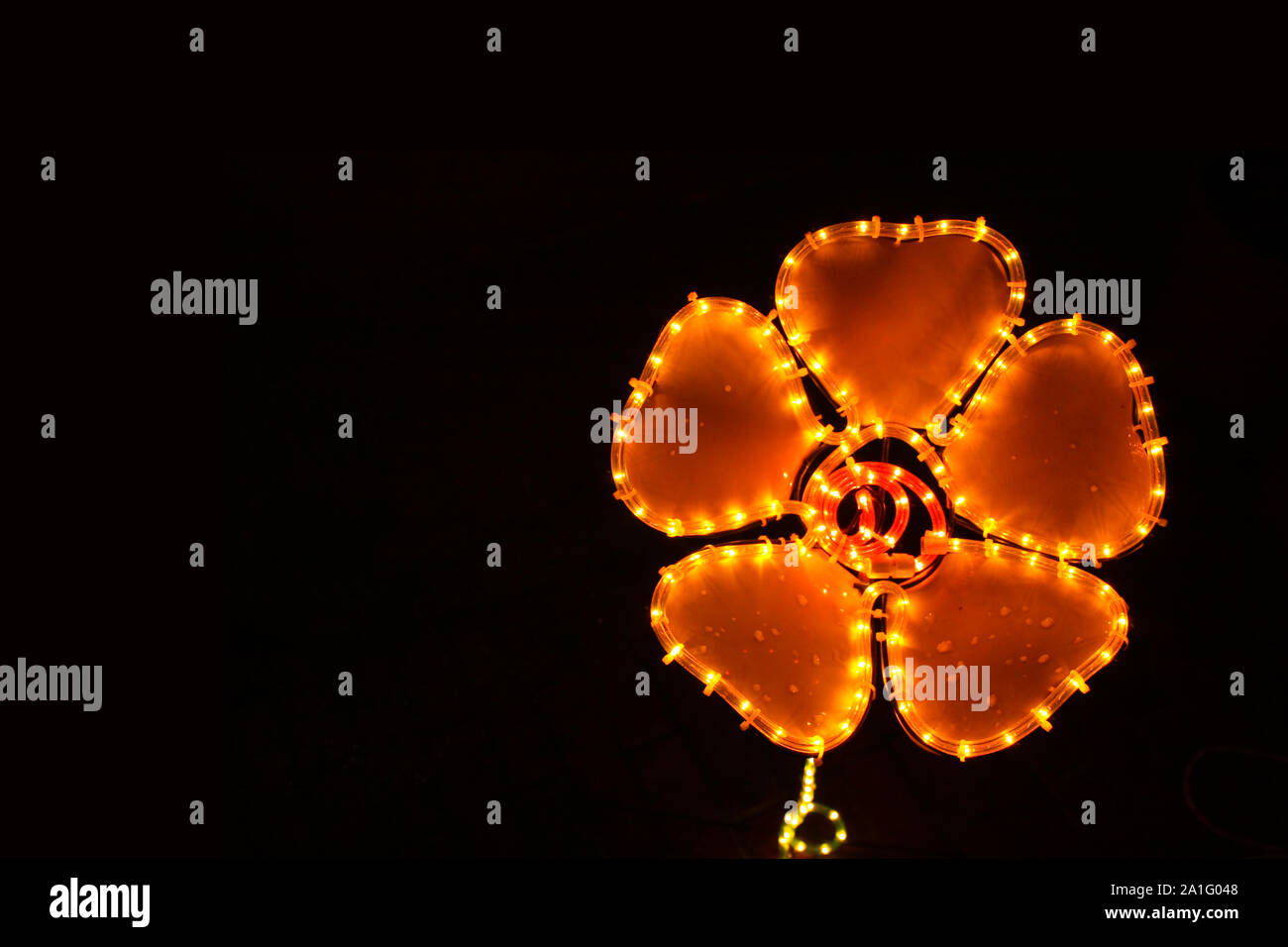 Flower of light at night. Neon lighting. Photo background. Ornamental ...