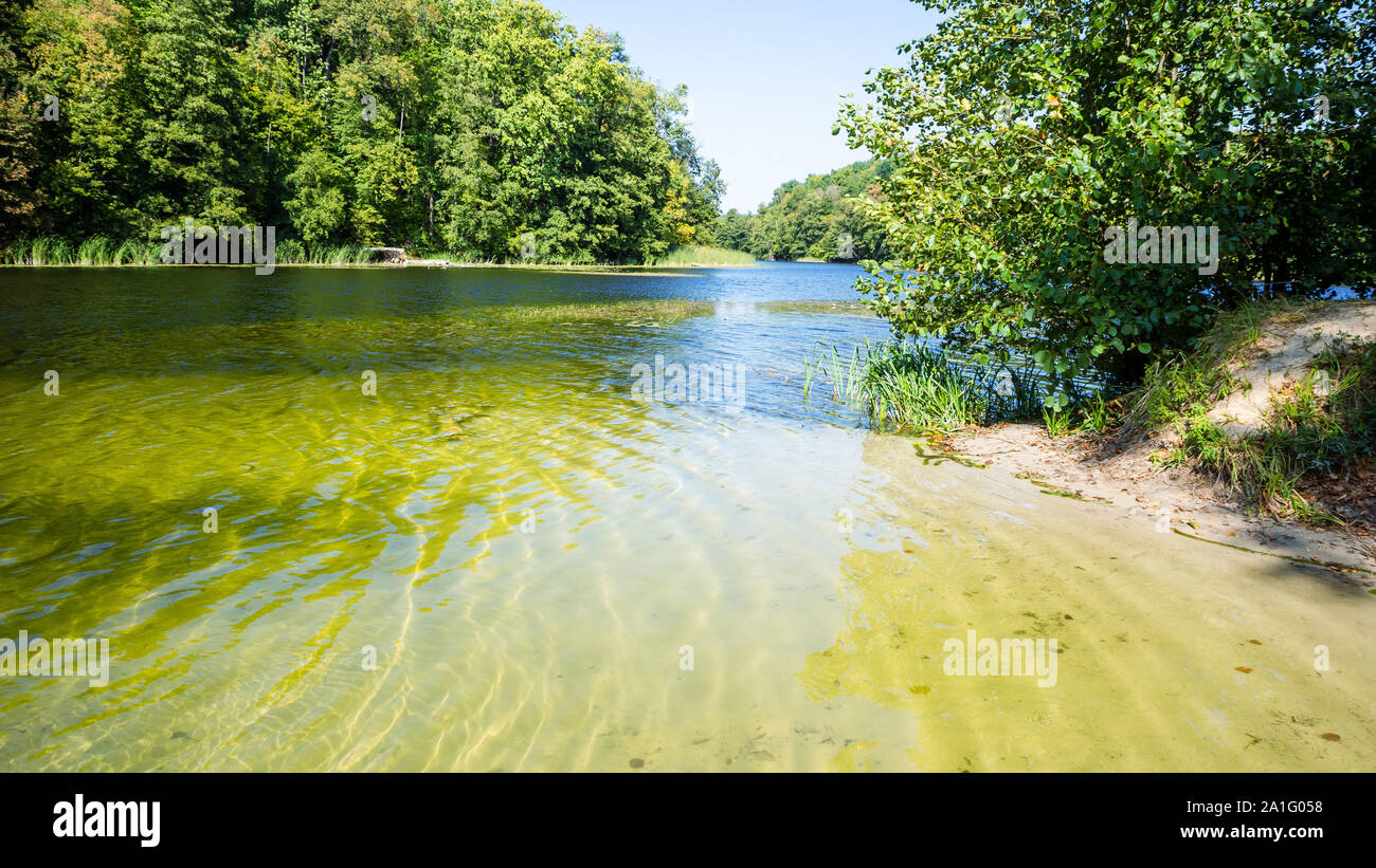 Landscape with lake and sandy shallow beach Stock Photo - Alamy