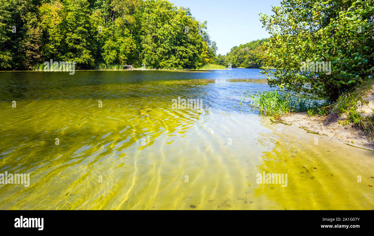 Landscape with forest lake and sandy beach Stock Photo - Alamy