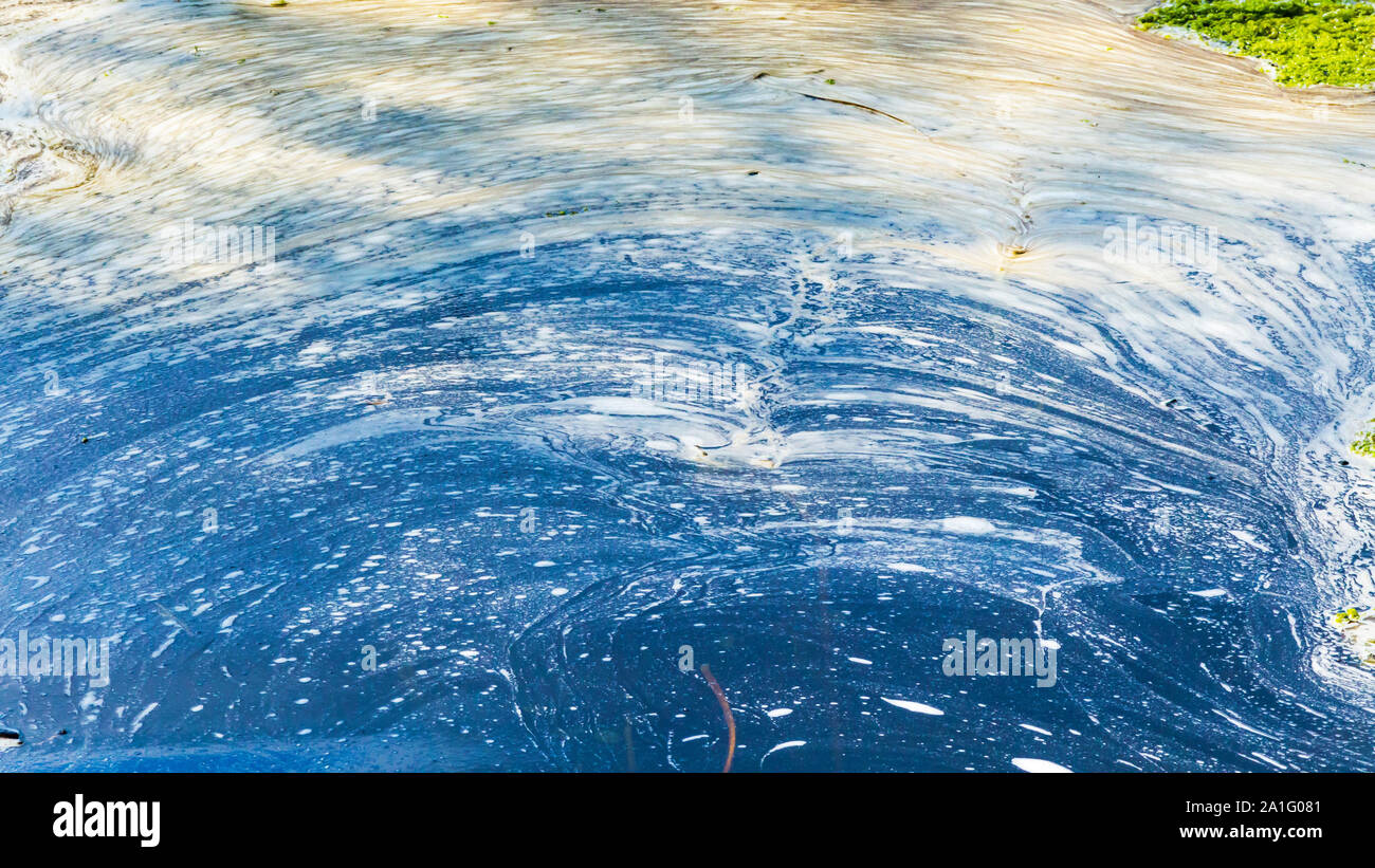 Abstract background of the pond scum on water surface Stock Photo - Alamy