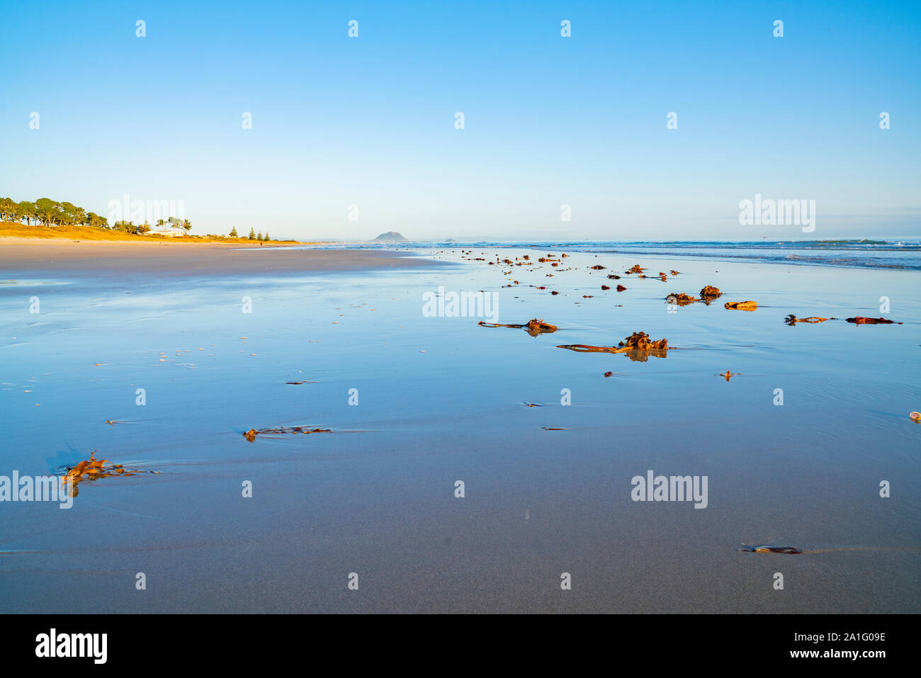 Idyllic morning beach scene low tide with expansive area wet sand on ...