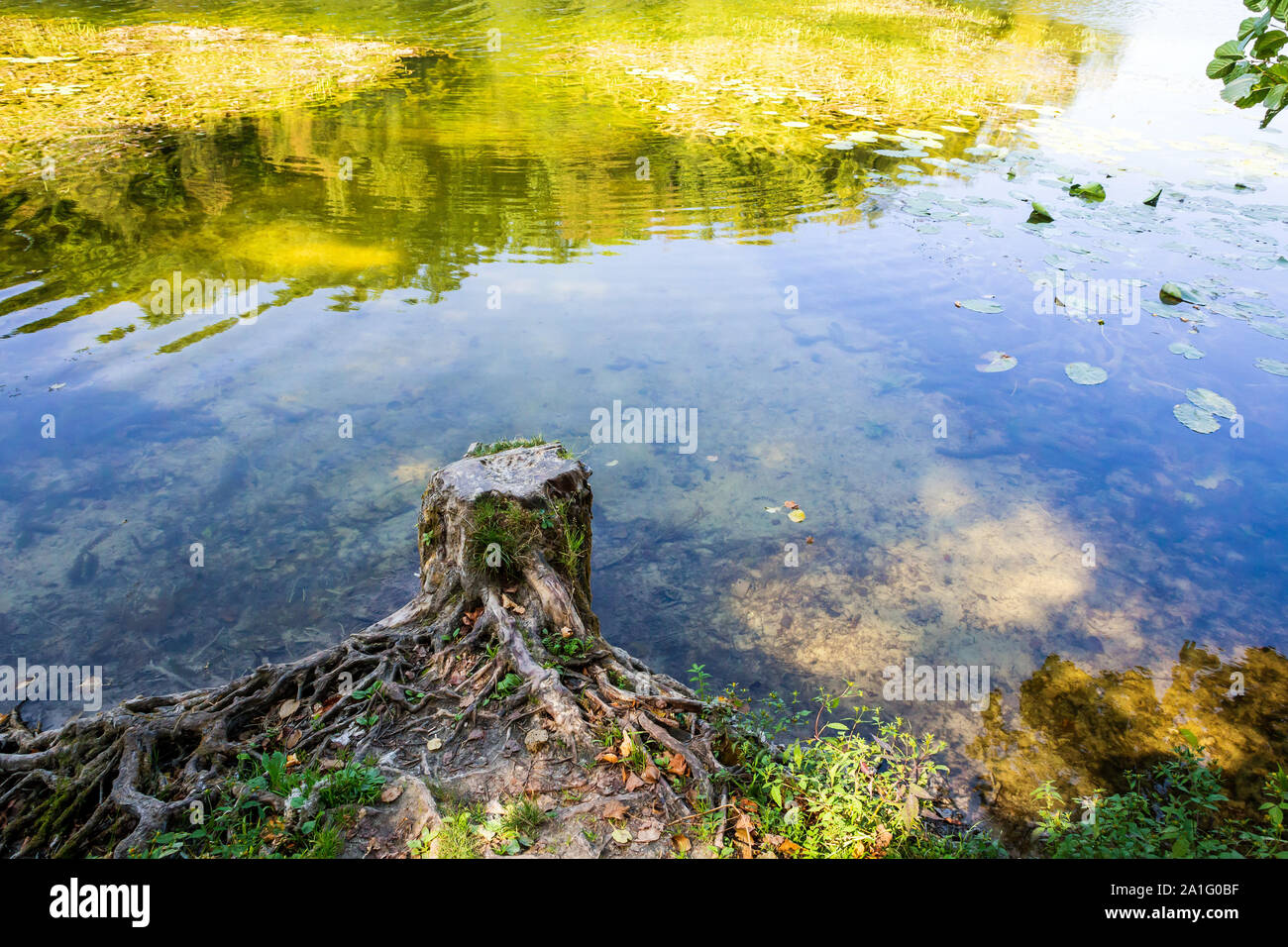 Landscape with stump and lake water surface Stock Photo - Alamy