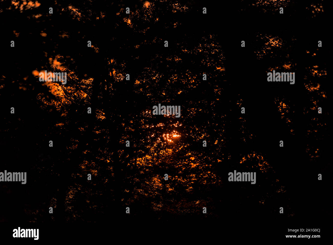 Magic orange hi-res stock photography and images - Alamy