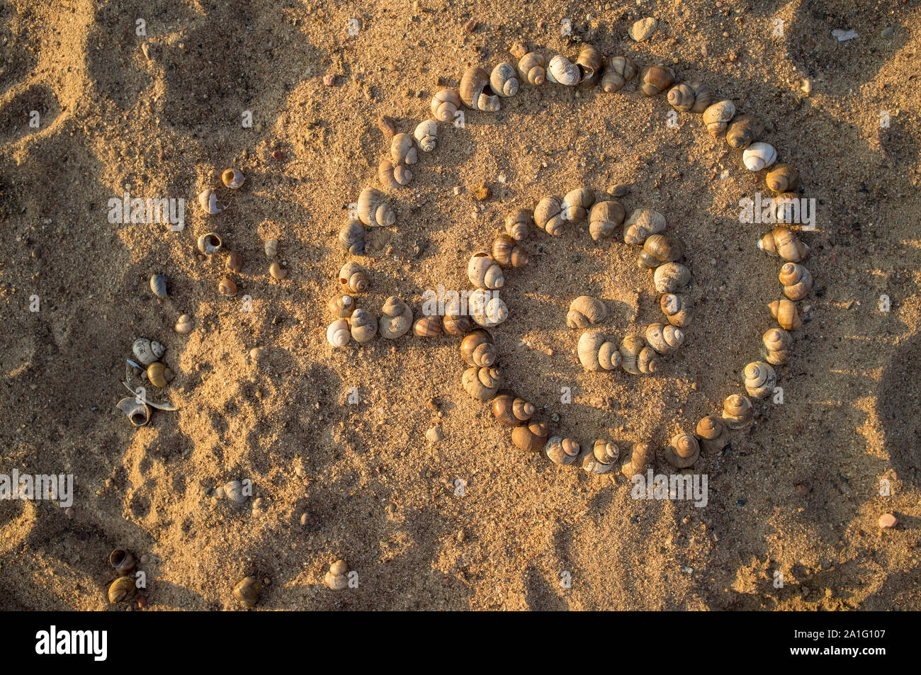 someone assembled one big shell using a lot of shells on the sand at ...
