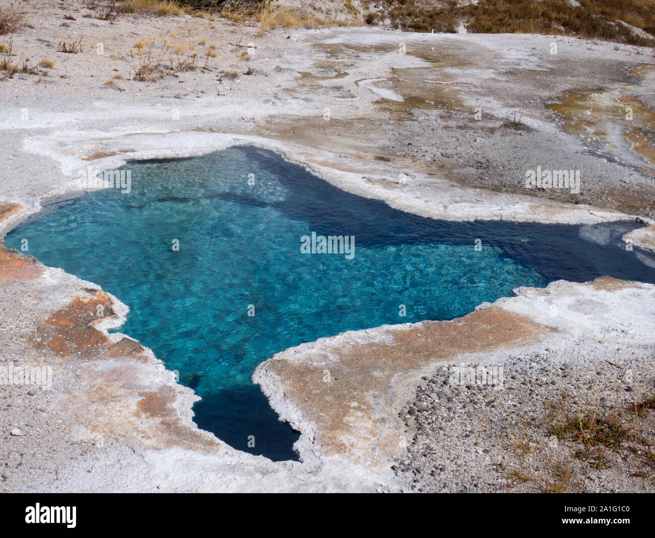 Wyoming blue star spring hi-res stock photography and images - Alamy