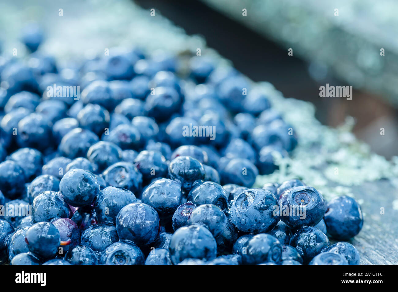 a handful of blueberries scattered on the old board and covered with ...