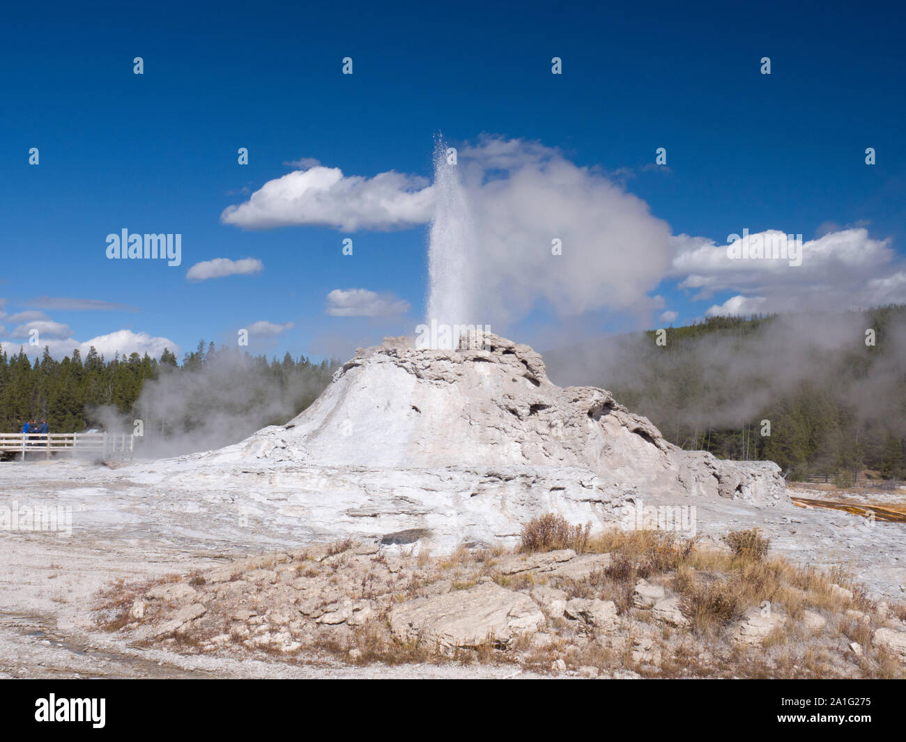 Castle Geyser erupting, Upper Geyser Basin, Yellowstone National Park ...