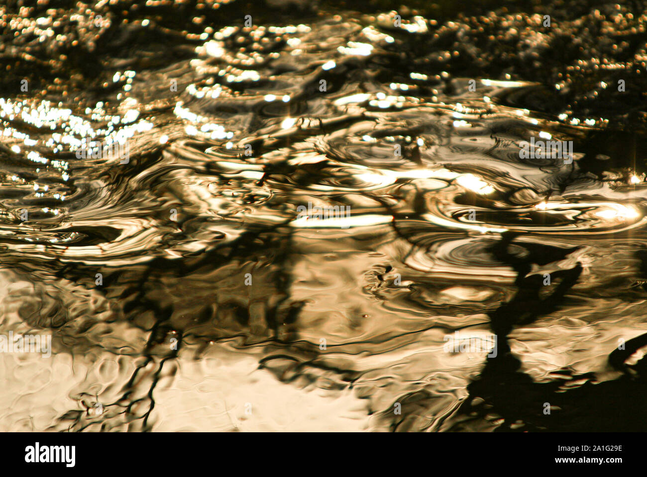 Golden water texture hi-res stock photography and images - Alamy