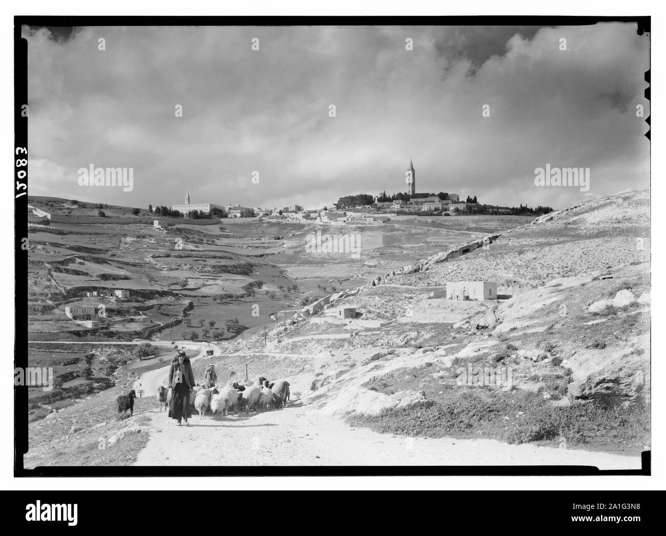 E shepherd Black and White Stock Photos & Images - Alamy