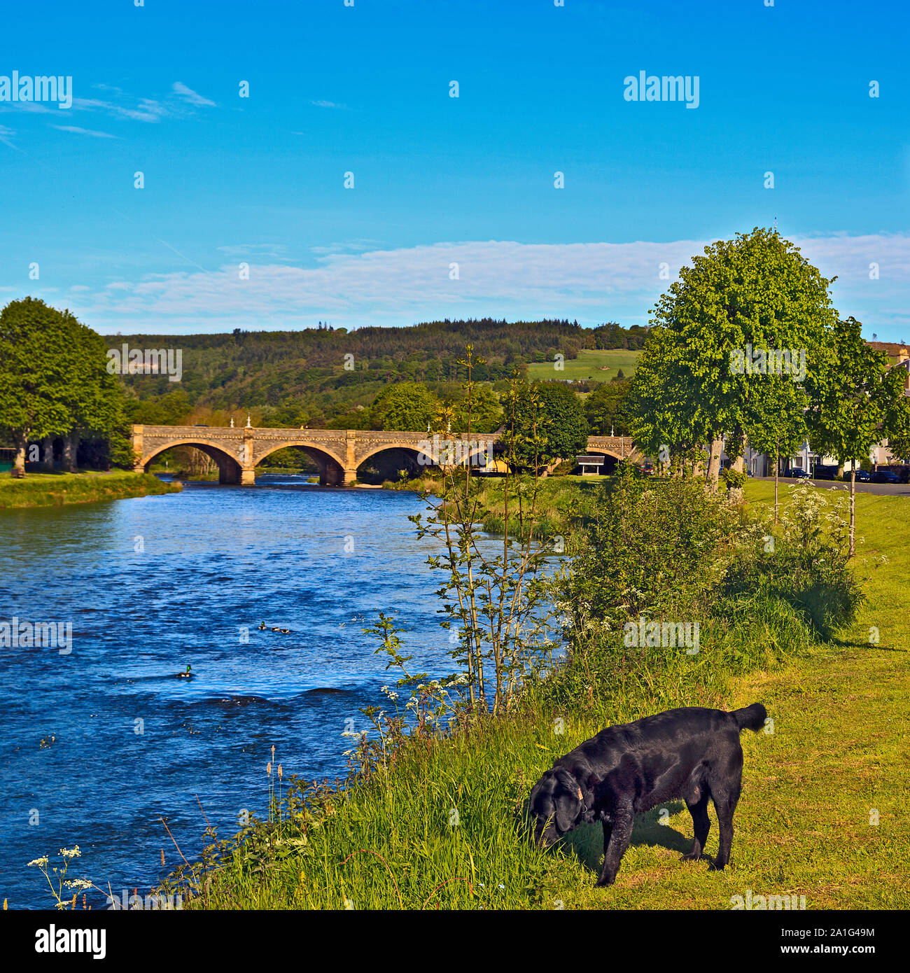 Peebles Road High Resolution Stock Photography and Images - Alamy