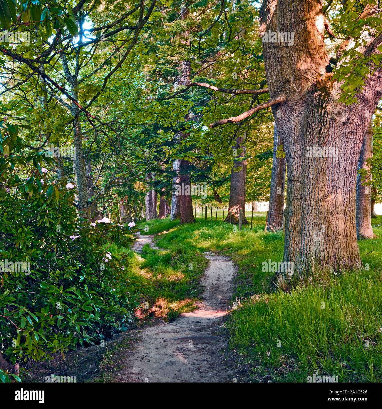 Tweedside path hi-res stock photography and images - Alamy