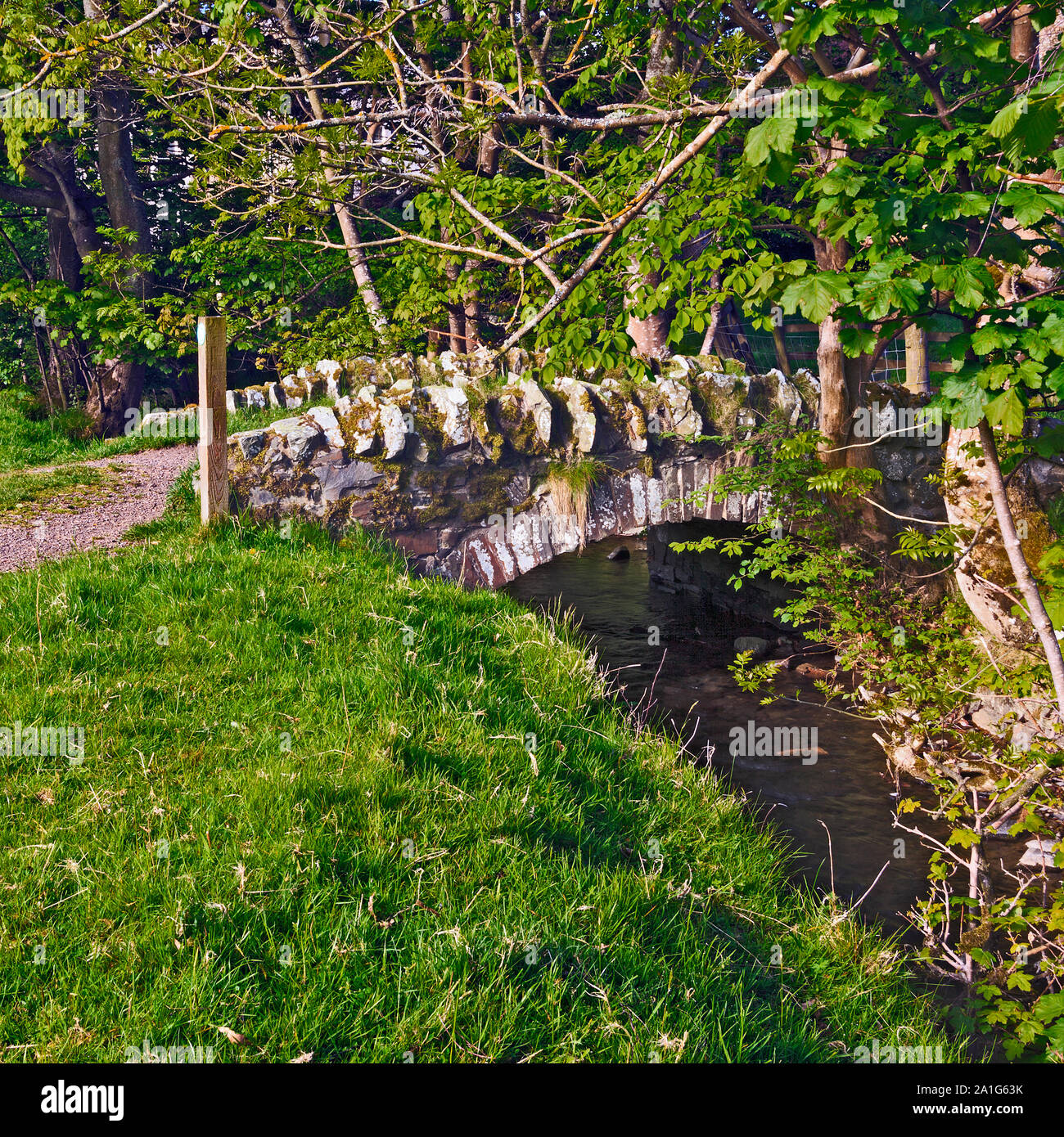 Old Stone Bridge on the Tweedside Path near Peebles, Scotland Stock ...