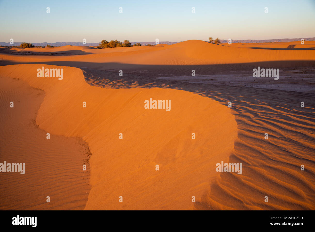 sanddunes and patterns in sand in desert of Morocco Stock Photo - Alamy