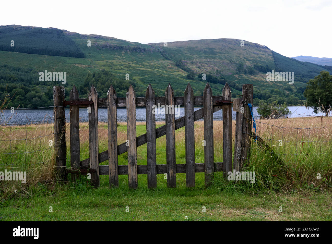 Wooden gate with old metal hinges hi-res stock photography and images ...