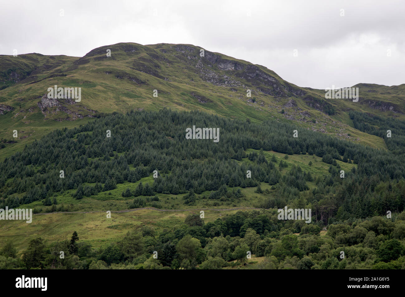 Scottish hillside hi-res stock photography and images - Alamy