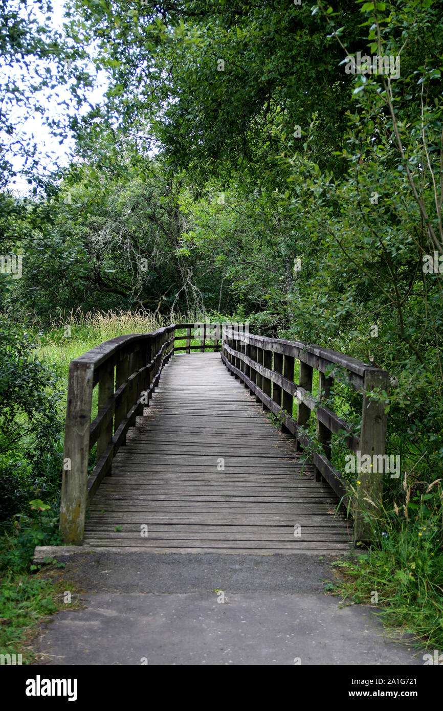 Small rural river hi-res stock photography and images - Alamy
