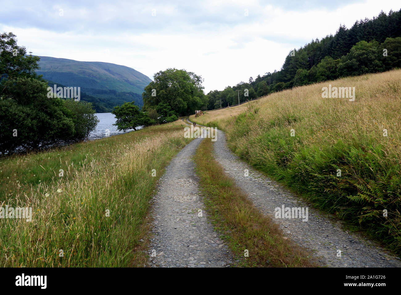 Scottish hillside track hi-res stock photography and images - Alamy