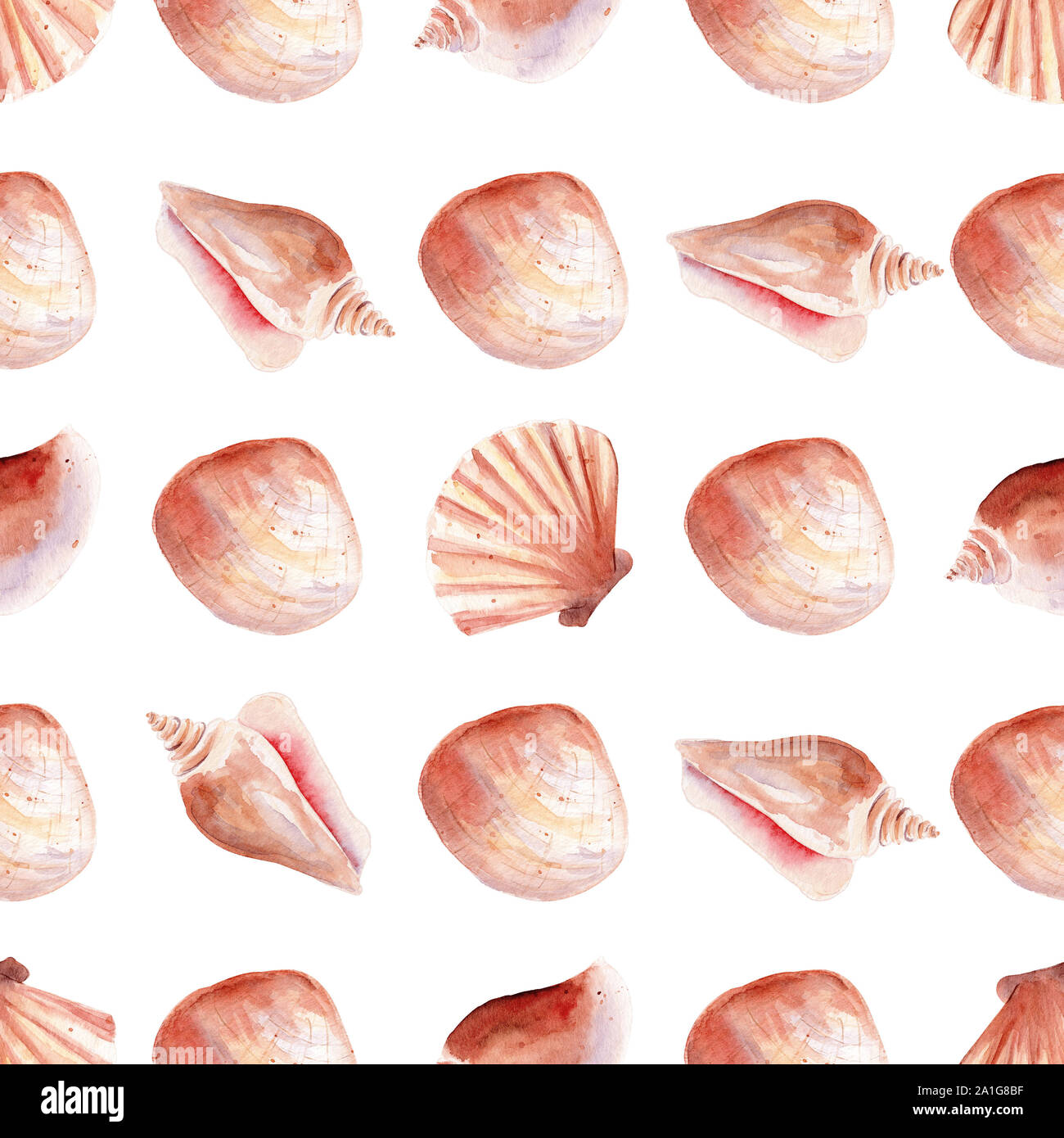 Tropical underwater life, seashell seamless watercolor raster pattern ...