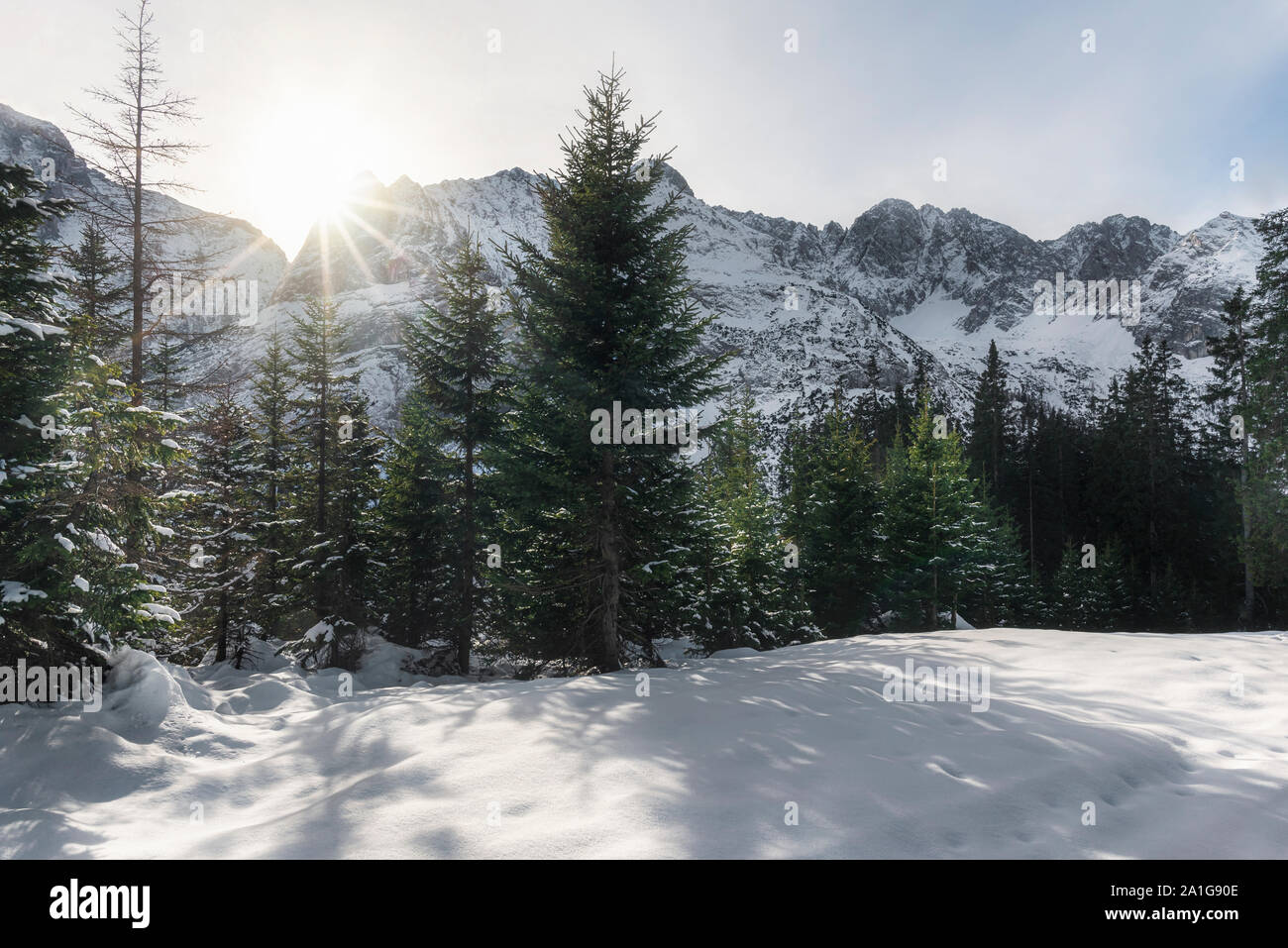 Winter landscape with snowdrifts, snowy trees, sun rays, and snow ...