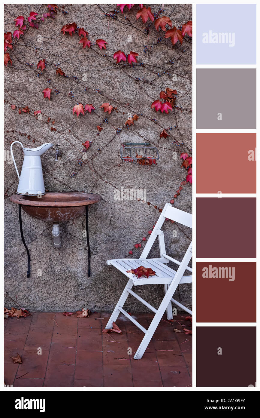 Swatch color palette matching autumn colors. Collage collection ...