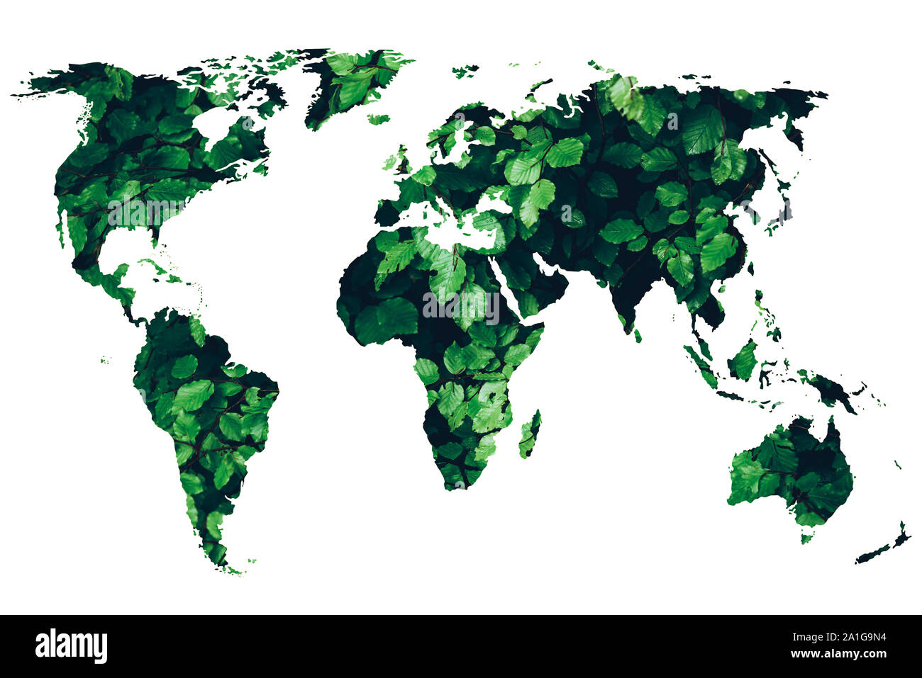 Green leaves backgrounds textures Cut Out Stock Images & Pictures - Alamy