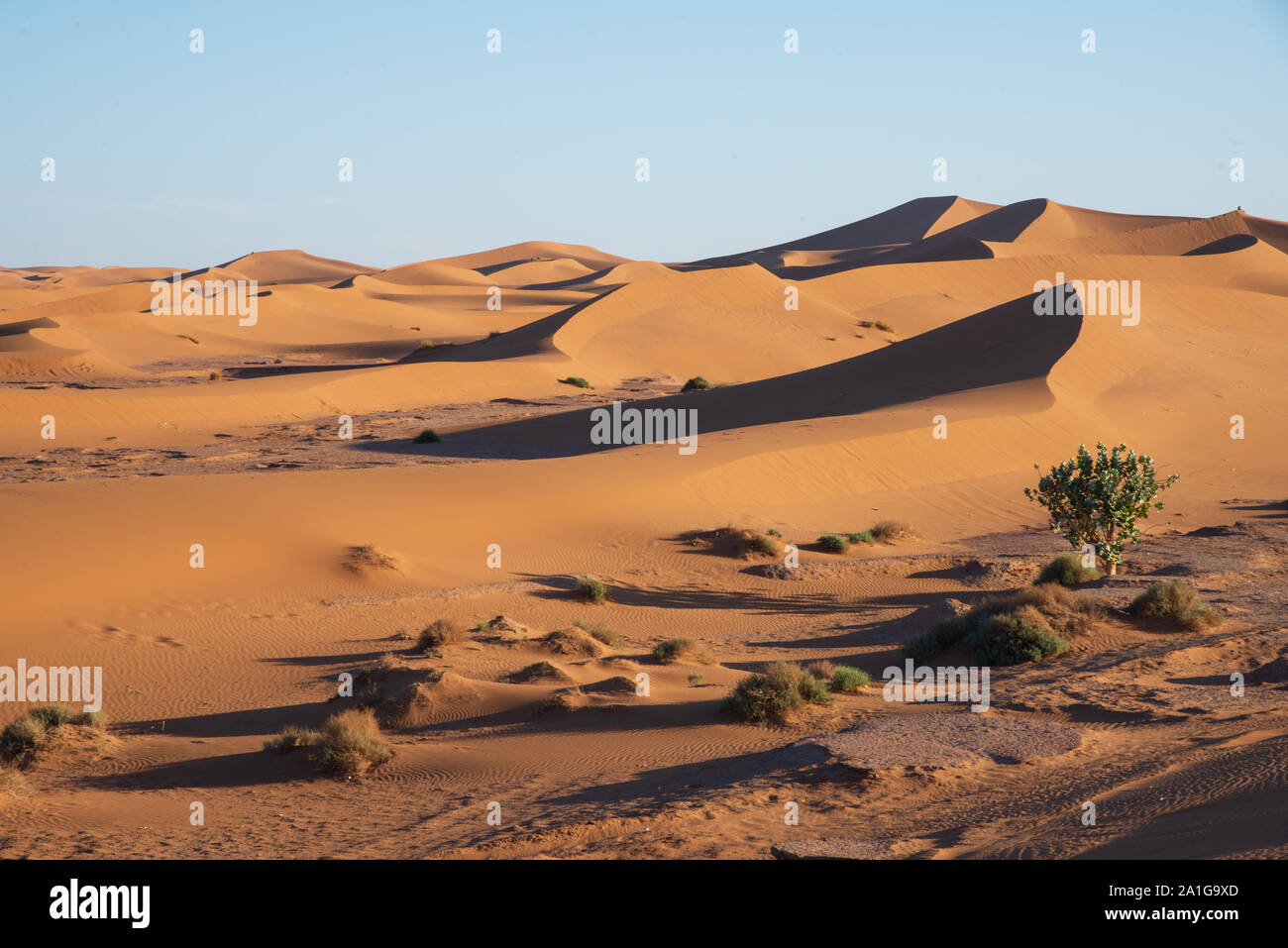 Desert patterns in southern africa hi-res stock photography and images ...