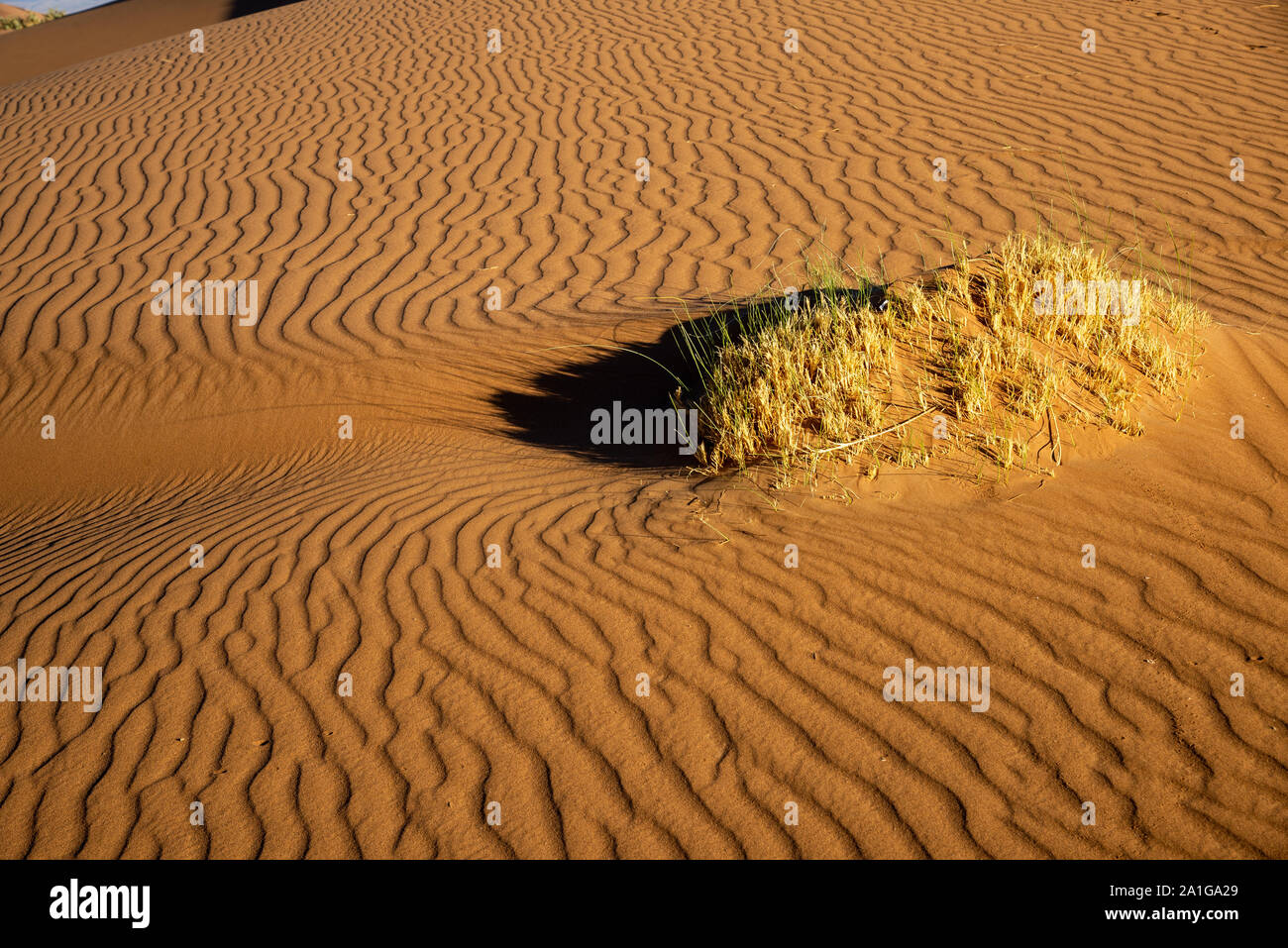 Desert patterns in southern africa hi-res stock photography and images ...