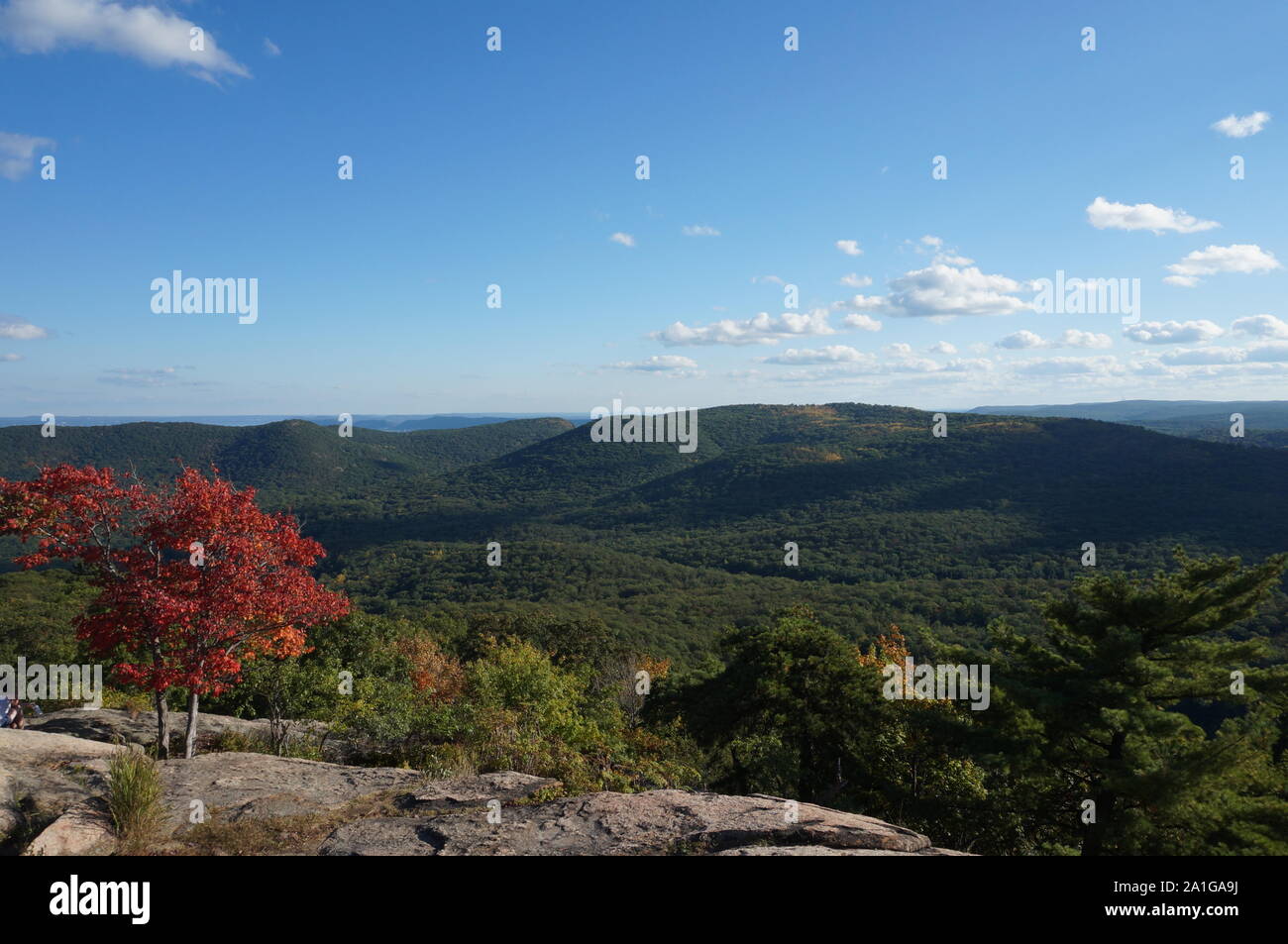 Bear mountain state park hi-res stock photography and images - Alamy