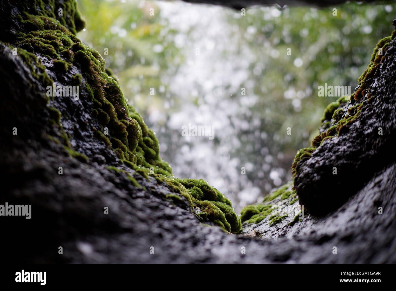 Green Moss waterfall flowing water rocks Stock Photo - Alamy