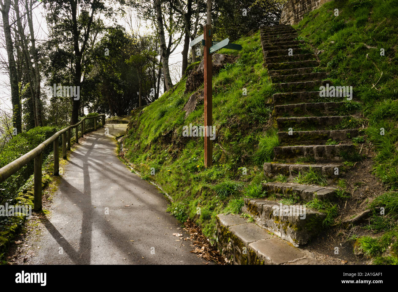 Road and steps in a hiking trail Stock Photo - Alamy