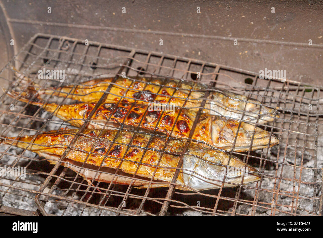 Grilled smoked Golden mackerel fish outside late at night Stock Photo ...