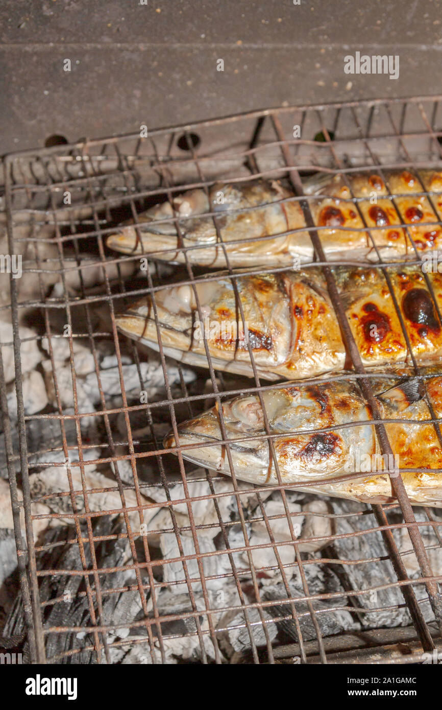Grilled smoked Golden mackerel fish outside late at night Stock Photo ...