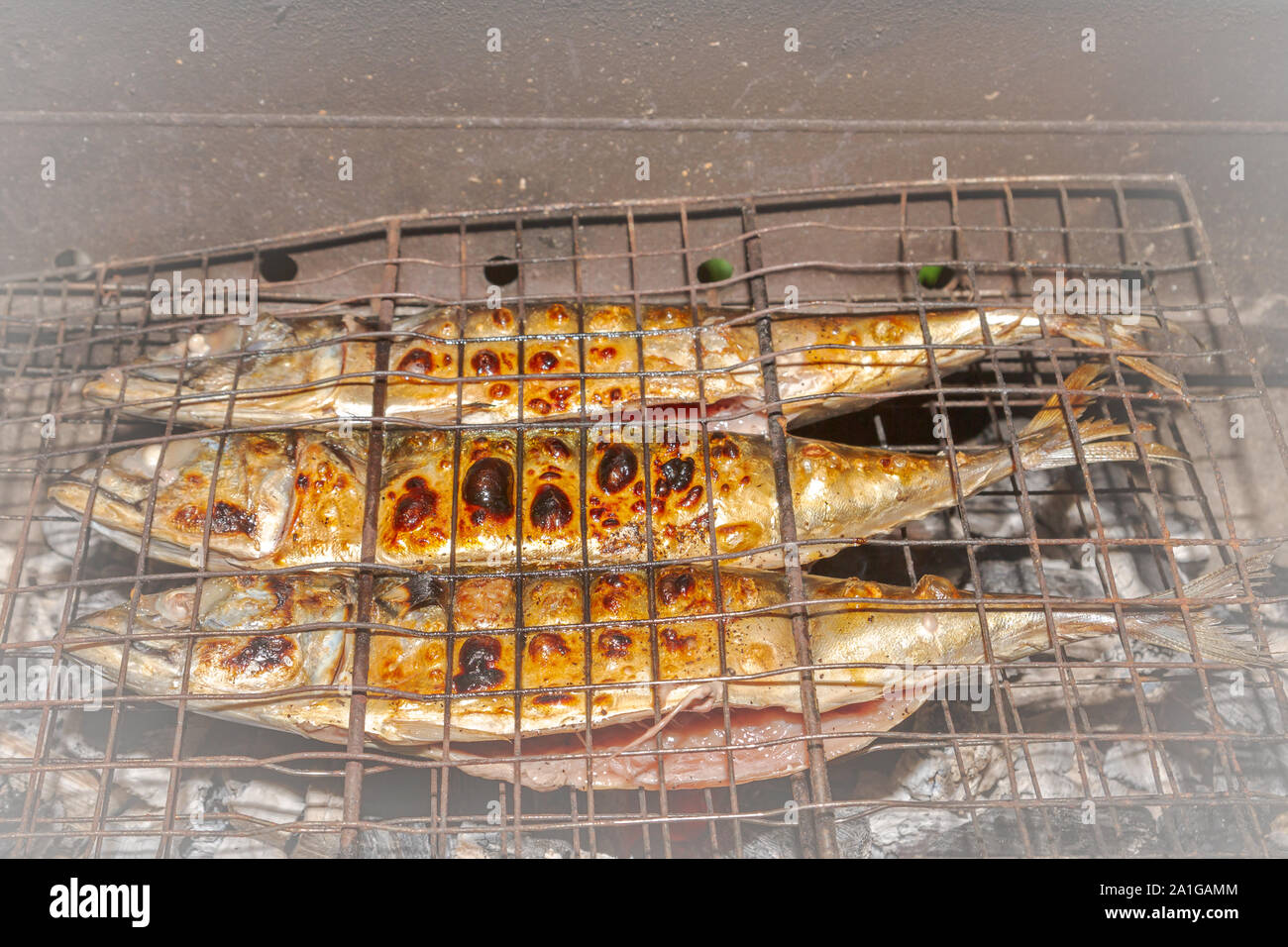 Grilled smoked Golden mackerel fish outside late at night Stock Photo ...