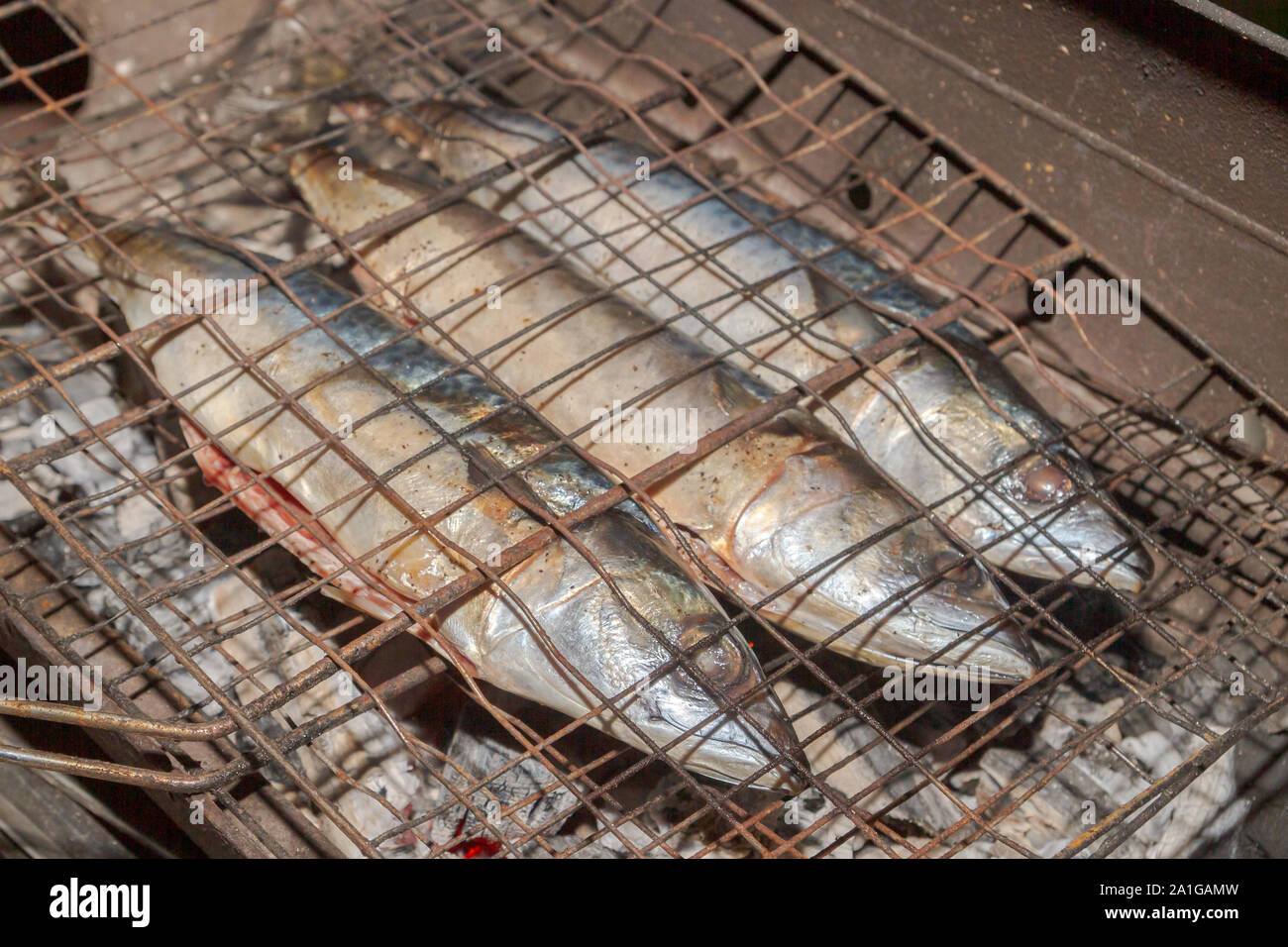 Grilled smoked Golden mackerel fish outside late at night Stock Photo ...