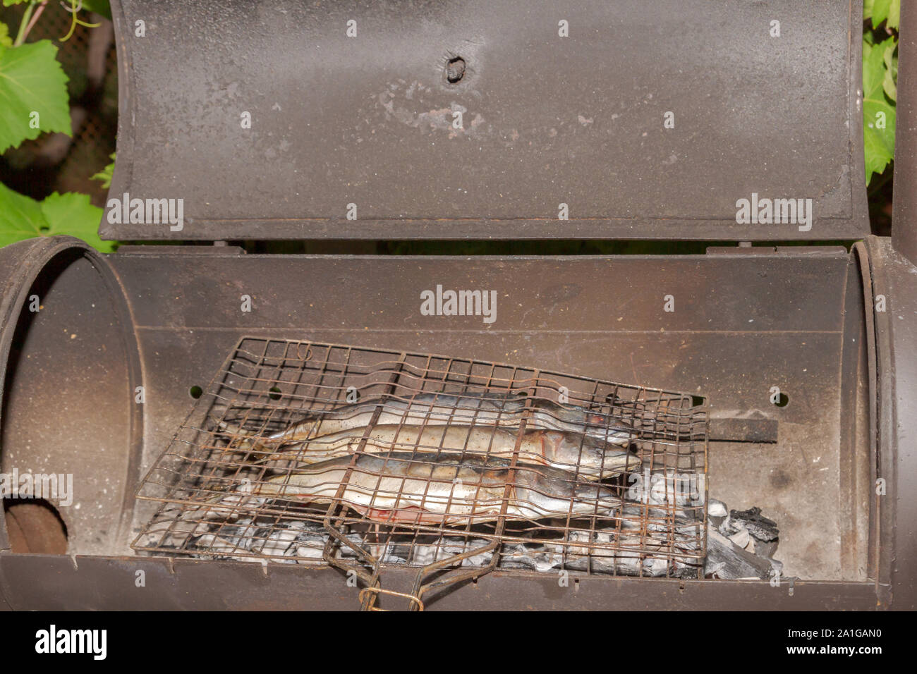 Grilled smoked Golden mackerel fish outside late at night Stock Photo ...