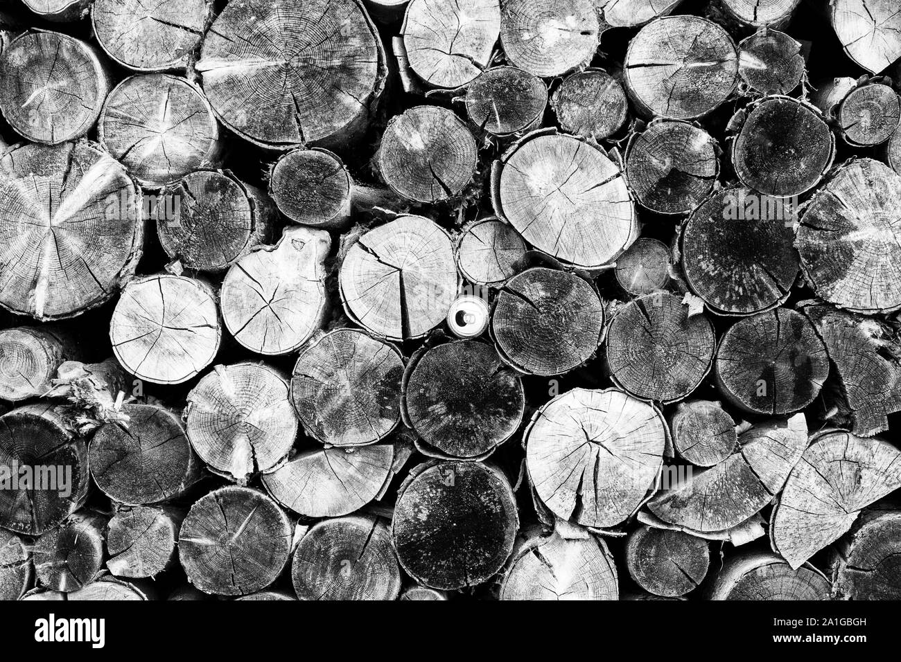 Impact of human hi-res stock photography and images - Alamy