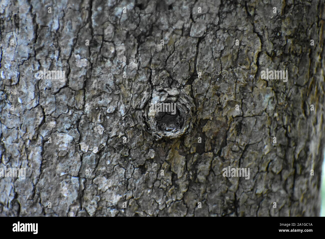 Caledon state park hi-res stock photography and images - Alamy