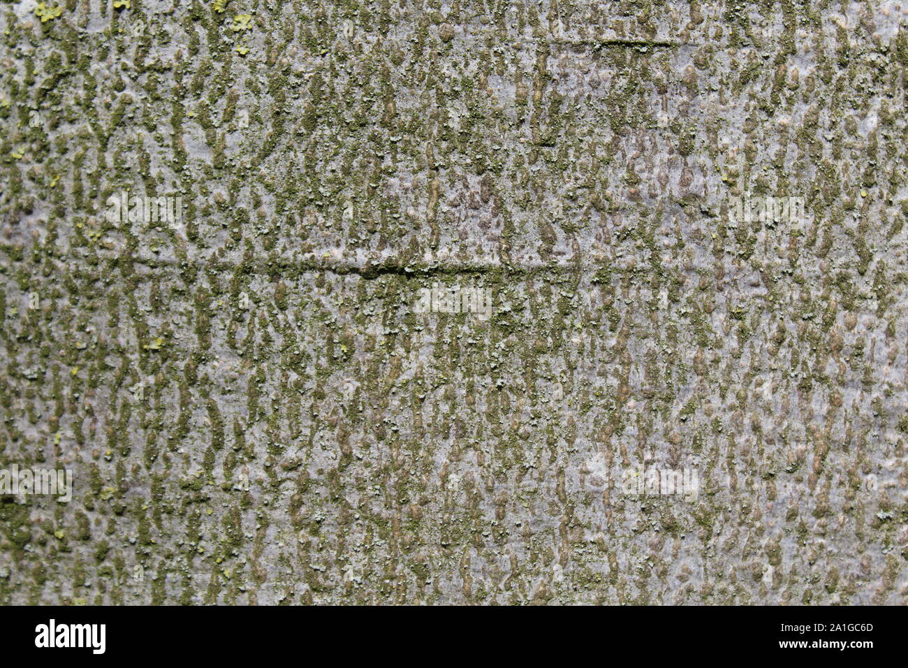 The picture shows a brown tree bark Stock Photo - Alamy