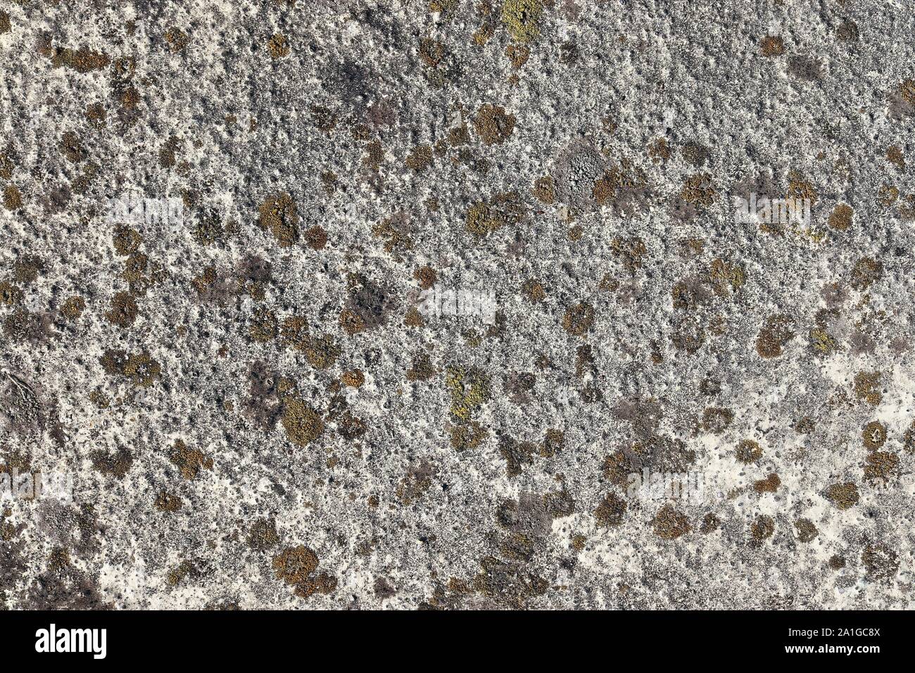 Close up view on detailed concrete wall textures in a high resolution ...