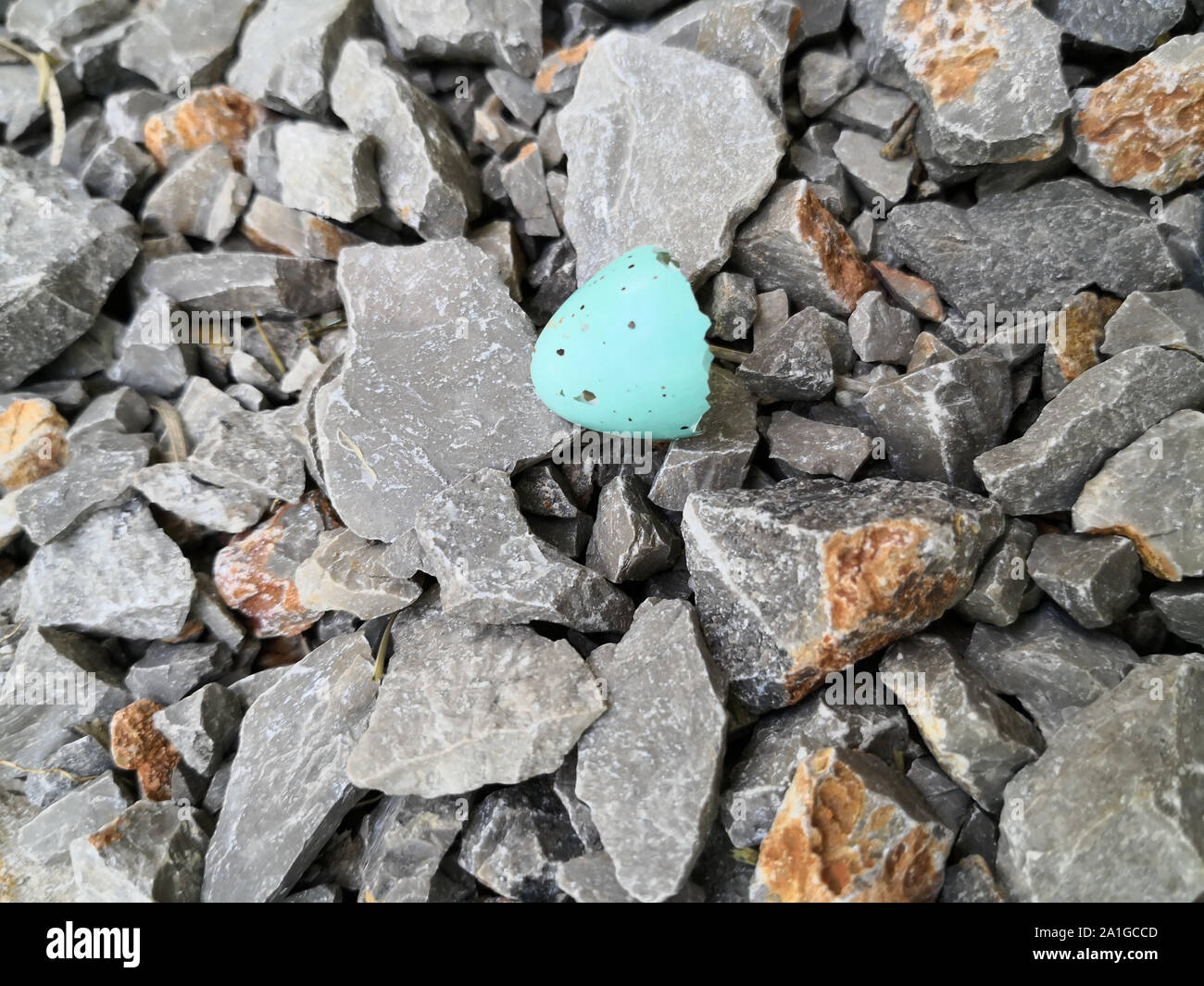 Broken egg rocks hi-res stock photography and images - Alamy