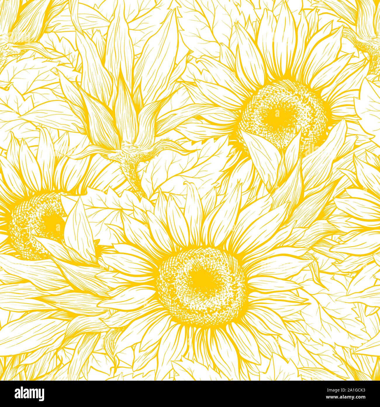 Sunflower hand drawn seamless vector pattern. Blooming flower ink pen ...