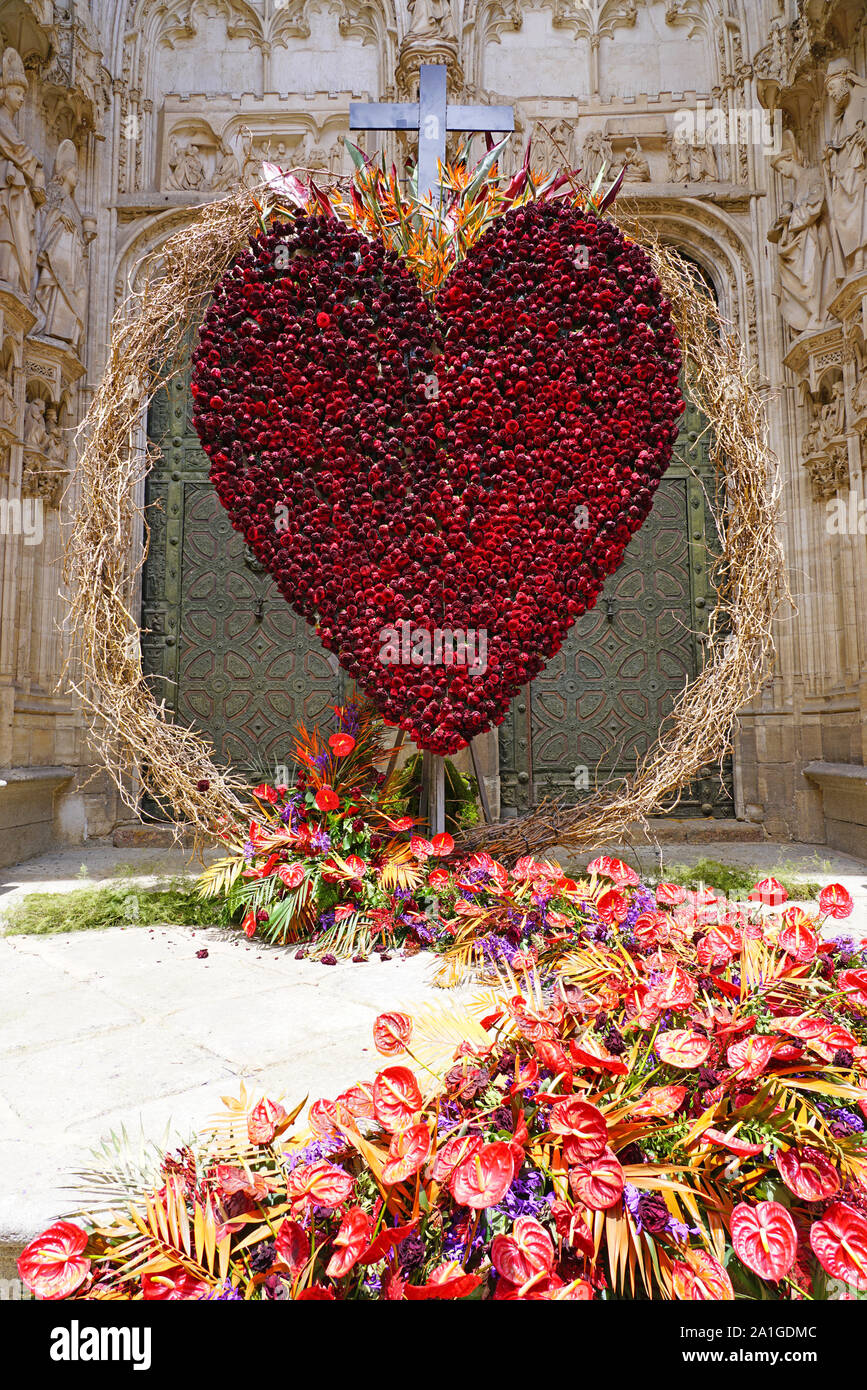 Giant red rose hi-res stock photography and images - Alamy