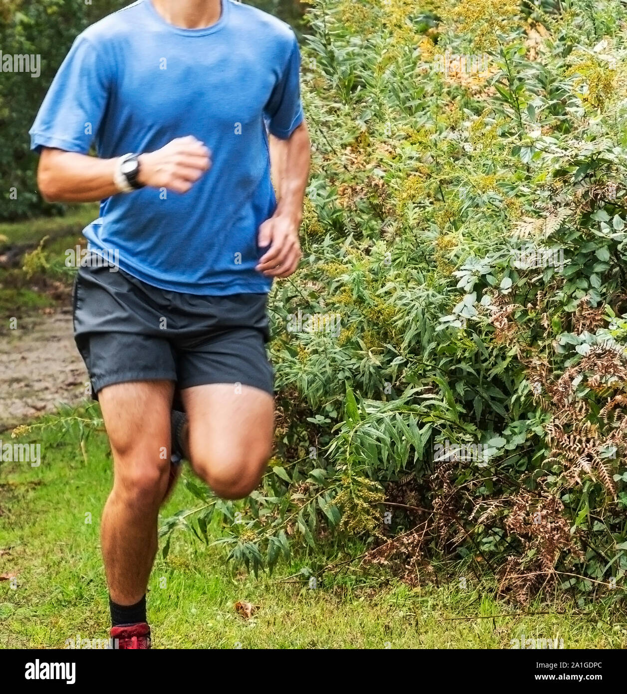 Tall athletes hi-res stock photography and images - Alamy