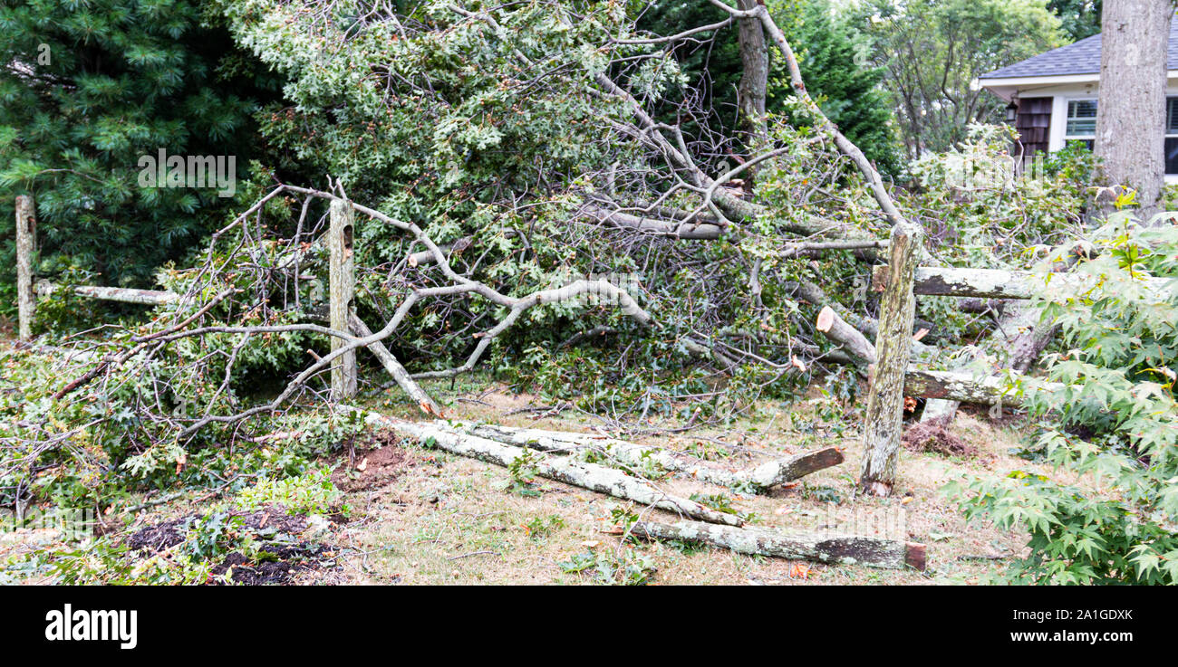 The front yard of a home after a tree falls sand destroys their fence ...