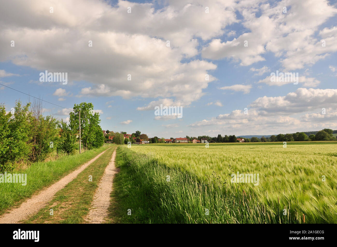 Summer landscape in Germany Stock Photo - Alamy