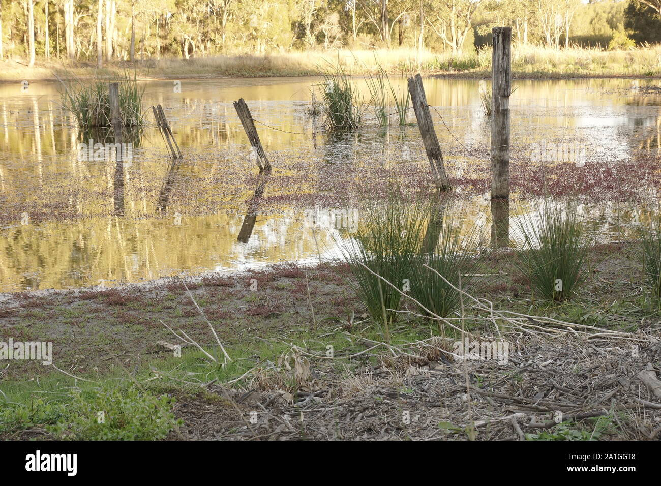 Farm dam dry hi-res stock photography and images - Alamy