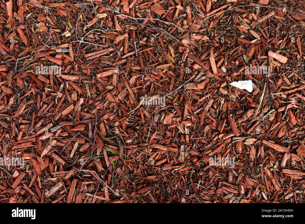 Tan bark hi-res stock photography and images - Alamy