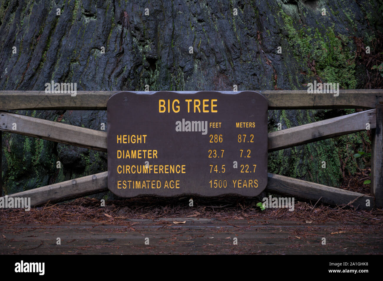 Big Tree Statistics Sign in Redwood Stock Photo - Alamy